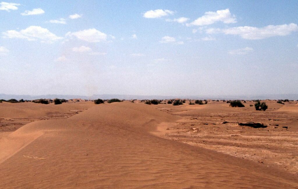 Sahara, Japan supports autonomy under Moroccan sovereignty